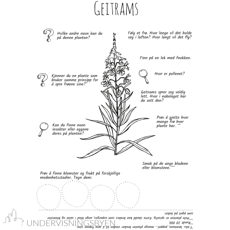 Fyrstikkoppgaver | Undervisningsbyen.no